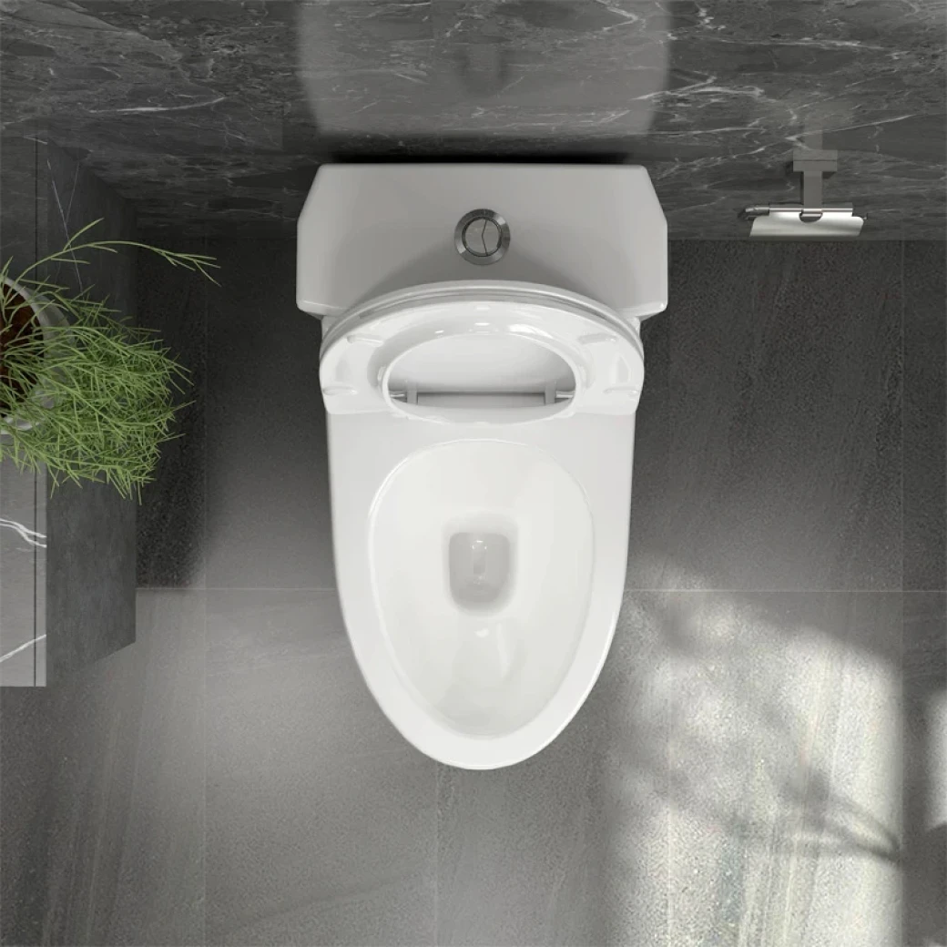 Bồn cầu 1 khối Sanfi S303